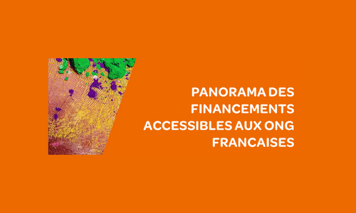 Panorama des financements accessibles aux ONG françaises - CSI